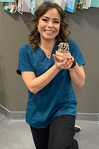 About Us | Lake Orion, MI | Orion Animal Hospital